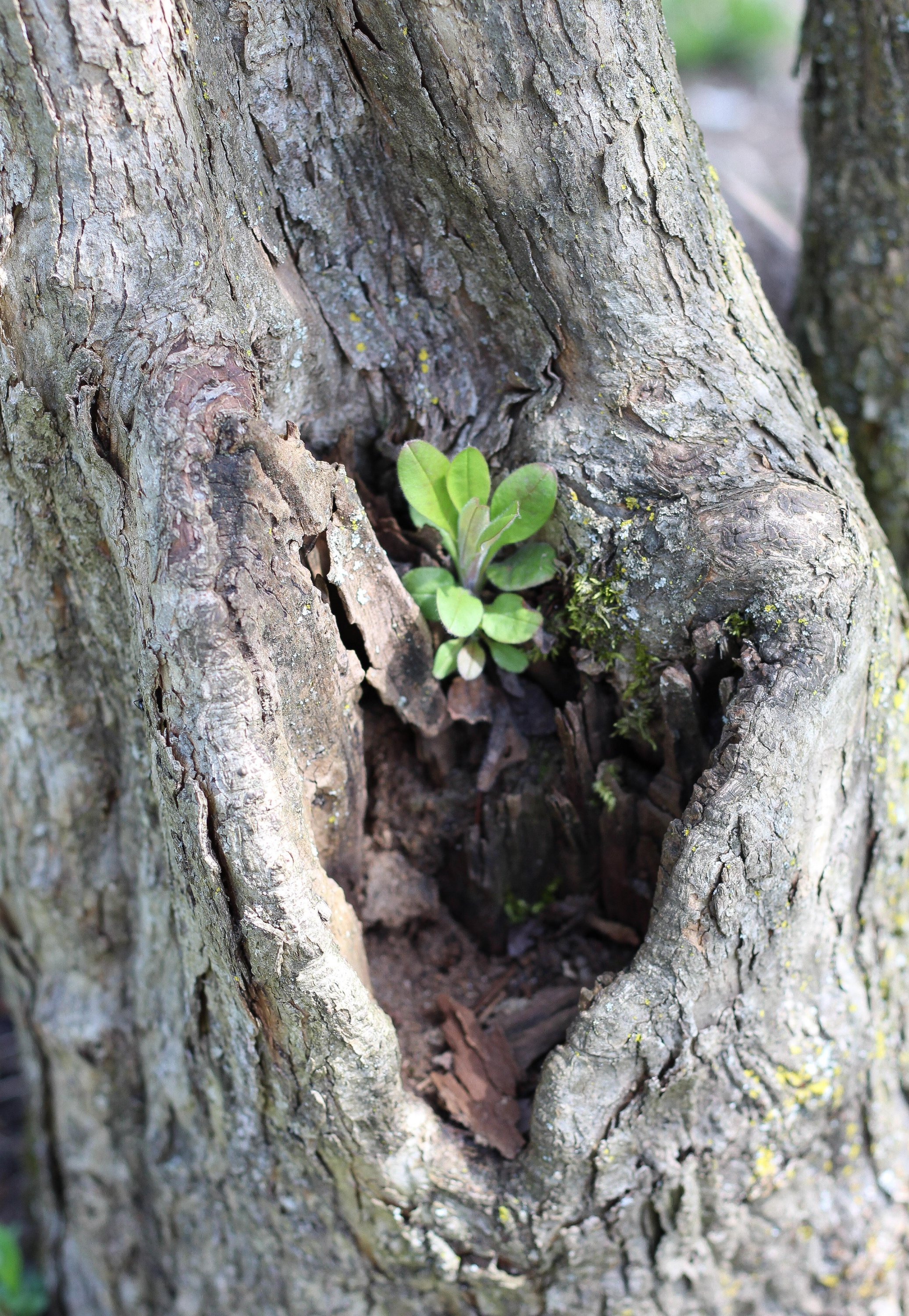 Cracks and Crevices. – Groovy Tales of a Well Adult